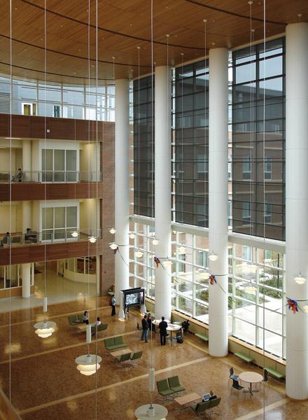 Commercial Window Coverings for your Business or Office - Griffith Shade