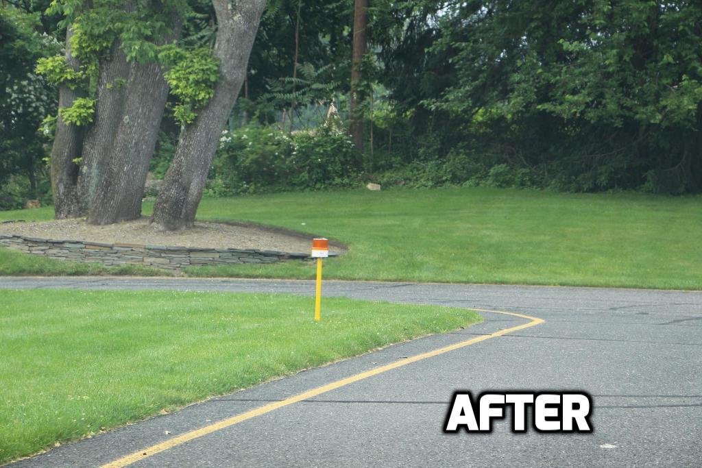 GDS-30 Goose Deterrent Strobe