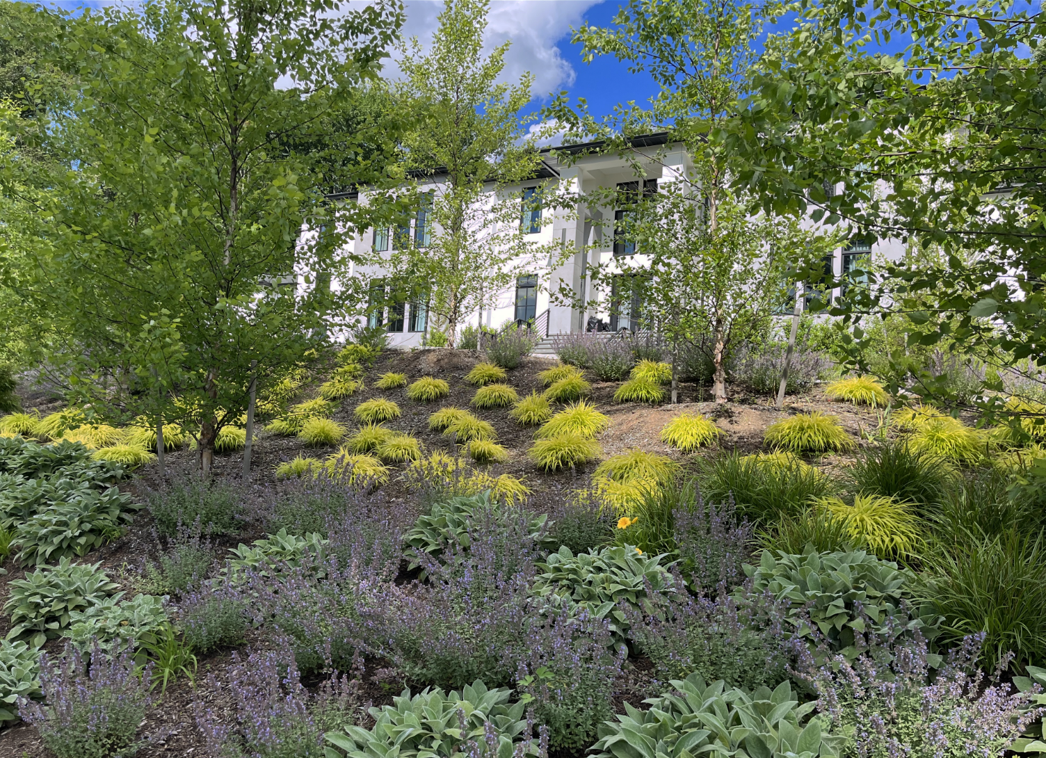 Scott Greer Landscape Designer - Bergen County NJ Landscape Design ...