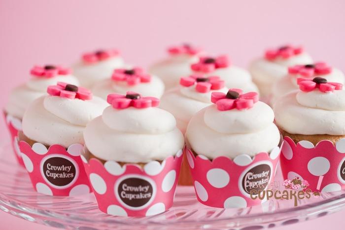 Homemade Cupcakes, Holiday Cupcakes, Vanilla Cupcakes, Chocolate Cakes ...